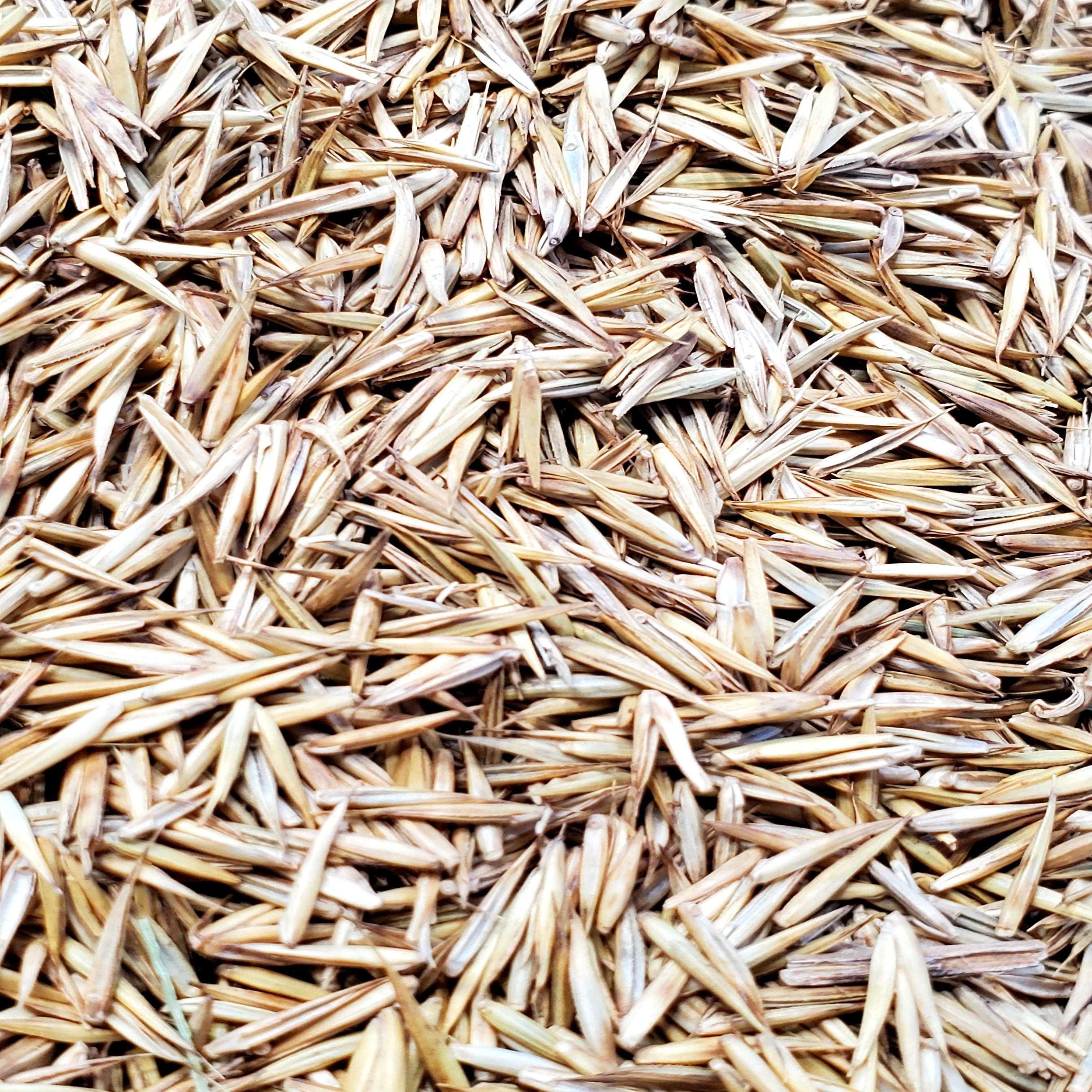 Products | Foster's Seed & Feed