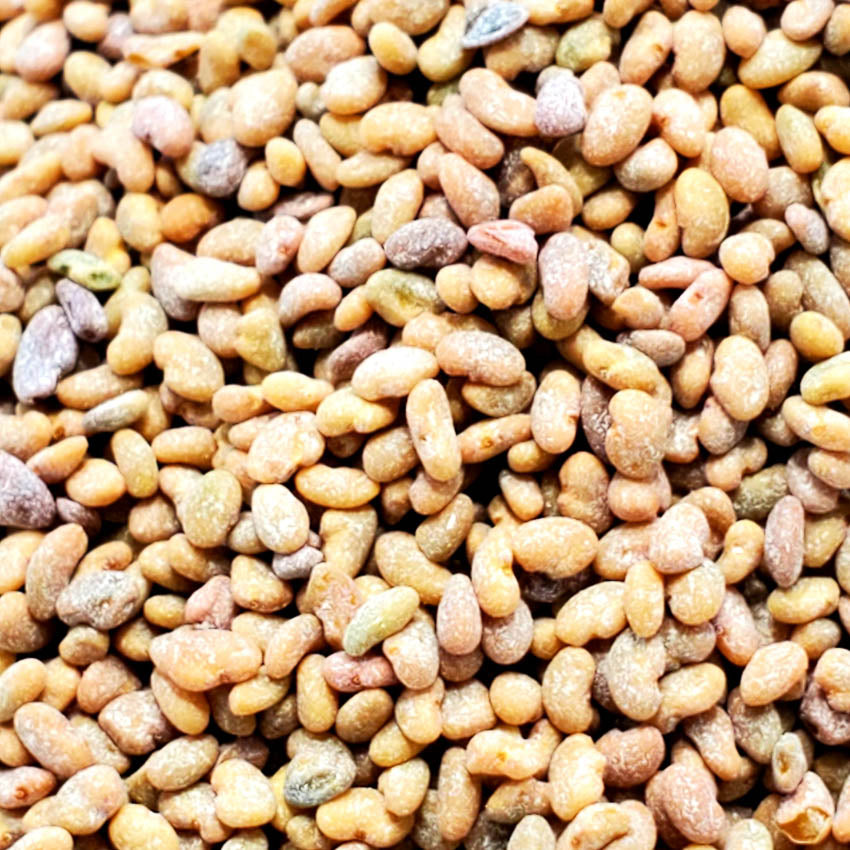 Foster's Seed & Feed | Foster's Seed & Feed