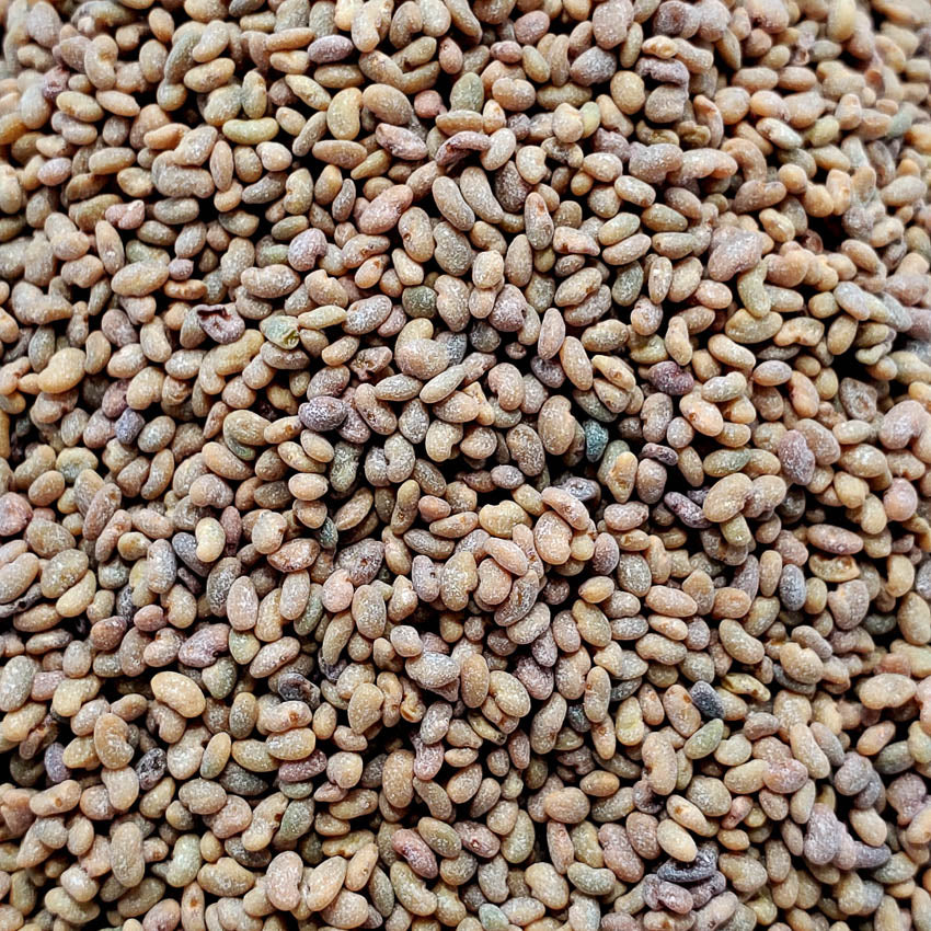 Foster's Seed & Feed | Foster's Seed & Feed