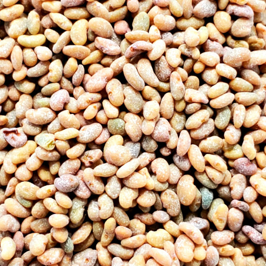 Foster's Seed & Feed | Foster's Seed & Feed