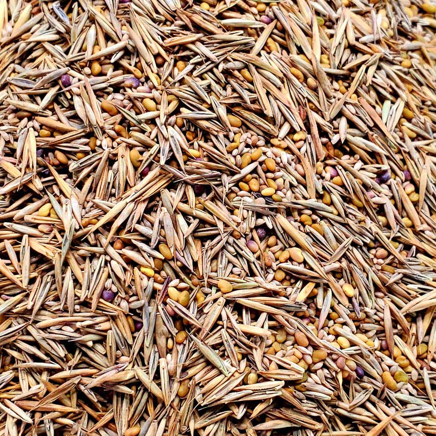 Foster's Seed & Feed | Foster's Seed & Feed