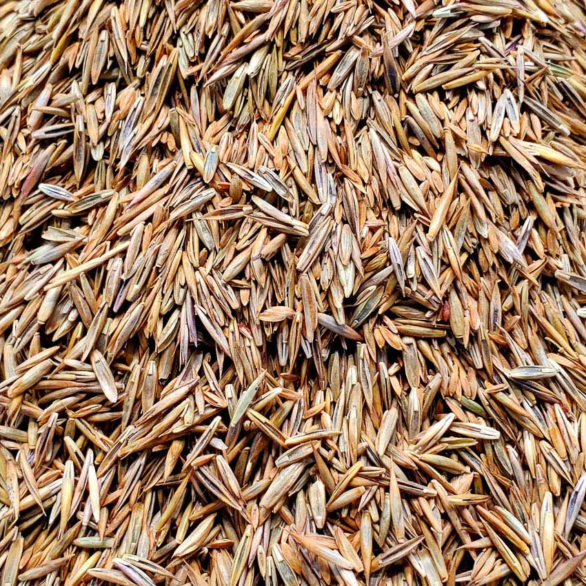 Products | Foster's Seed & Feed