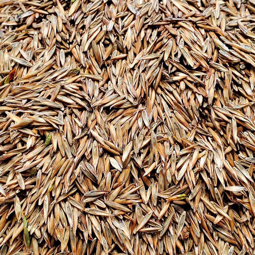 Foster's Seed & Feed | Foster's Seed & Feed