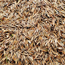 Foster's Seed & Feed | Foster's Seed & Feed
